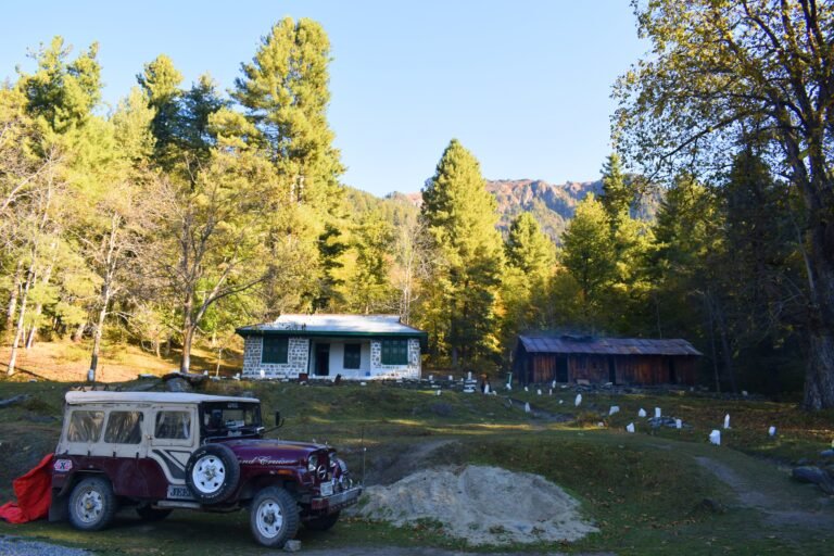 Sharan Forest: A Complete Travel Guide